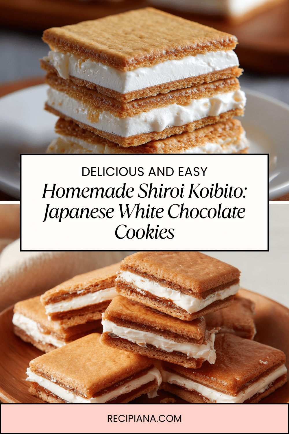 Shiroi Koibito: Irresistible Japanese White Chocolate Cookies